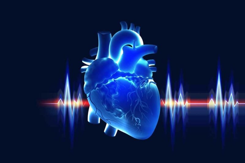 Cardiac Sciences - Alameda